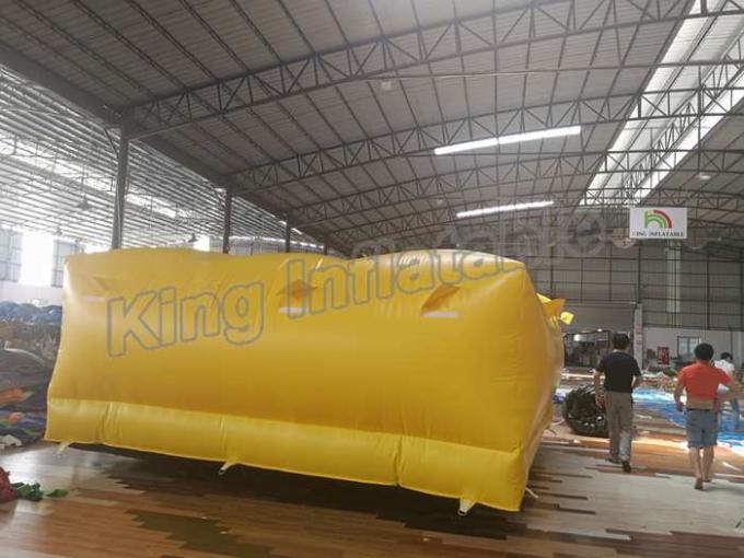 Giant Outdoor And Indoor Inflatable Sports Games / Inflatable Jumping Bed