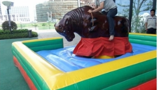 Outdoor Playground Inflatable Bull Pool Ride On Electric Bull With 0 ...