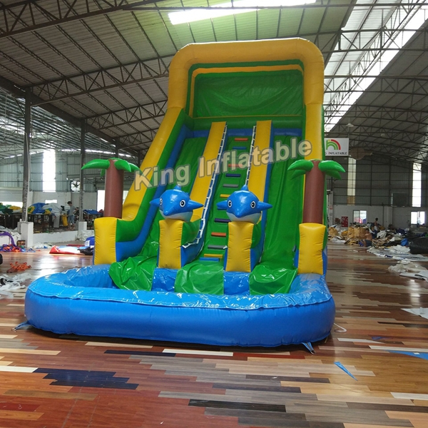 Eye Catching Green Double Lane Inflatable Water Slide With Swimming Pool
