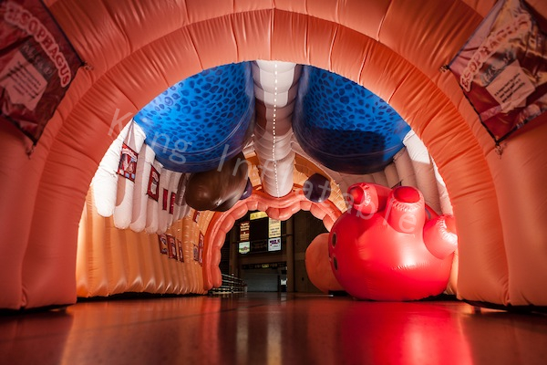 Inflatable Event Tent Human Body With Organs for Exhibition nylon fabric