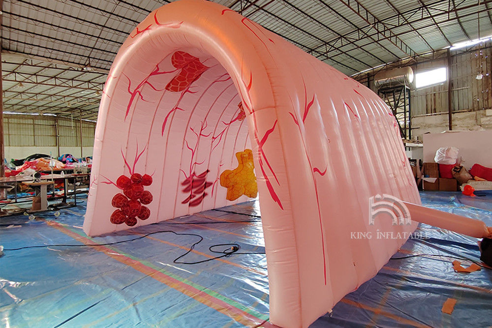 Custom Giant Inflatable Lungs Medical Event Theme Advertising Human ...