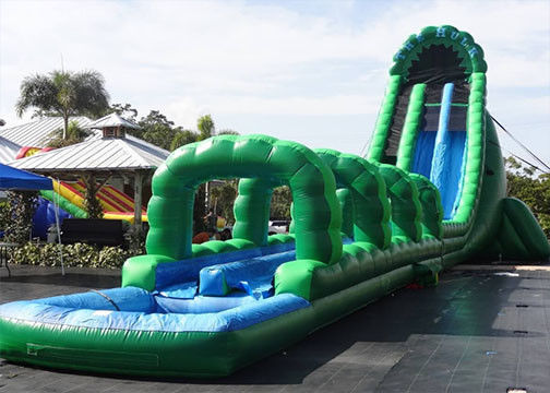 Attractive Commercial Outdoor Giant Long Green Blow Up Water Slides For ...