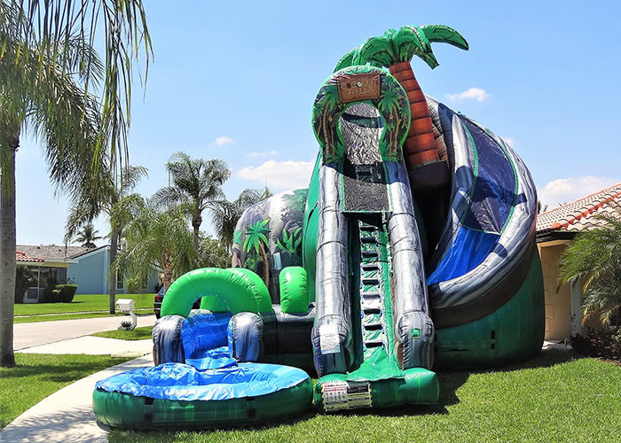 Inflatable Double Water Slide Adults Commercial Backyard Inflatable ...
