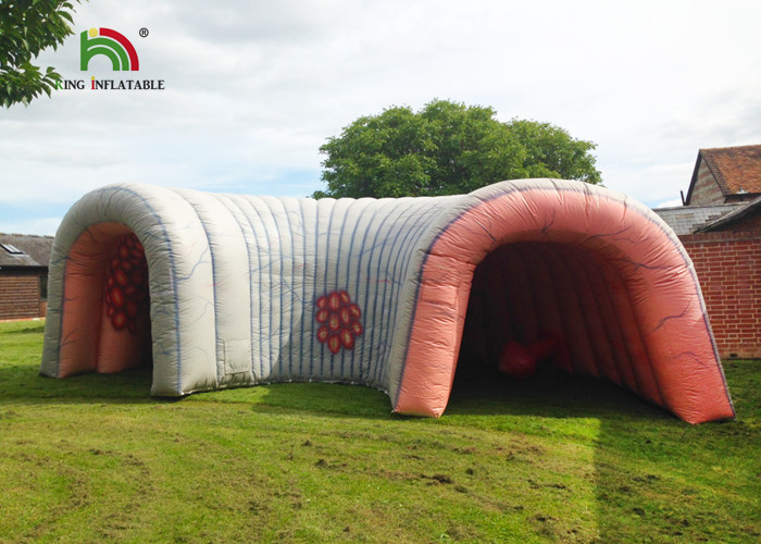 6m Huge Inflatable Colons Heart Tunnel Commercial Bounce Houses Flame ...