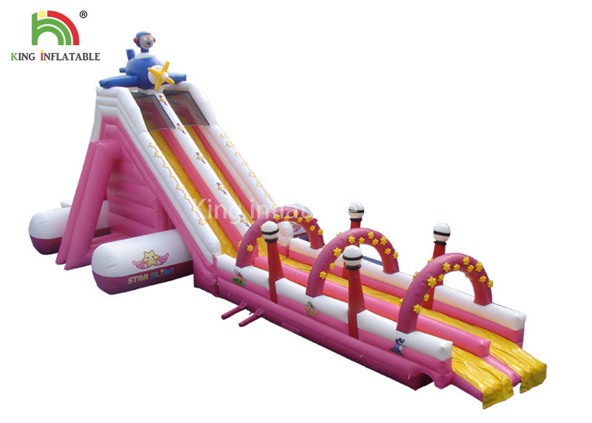 Customized Size Pink PVC Tarpaulin Inflatable Water Slide Outdoor ...