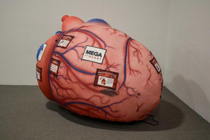 Inflatable Human Organs Giant Brain Heart Lungs For Teaching Medical ...